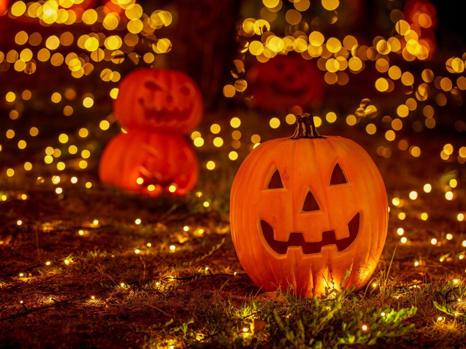 GLAMP DOME伊勢賢島 「Halloween Night Party2025」開催！ | 伊勢志摩グランピング グランドーム伊勢賢島【公式】